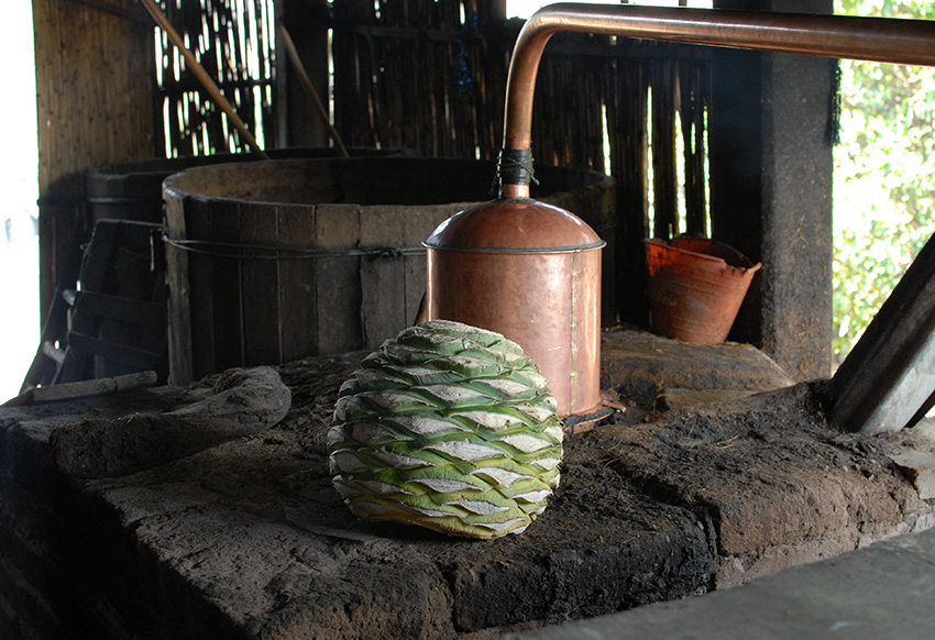 Mezcal - Casa Cortes - Back Bar Project