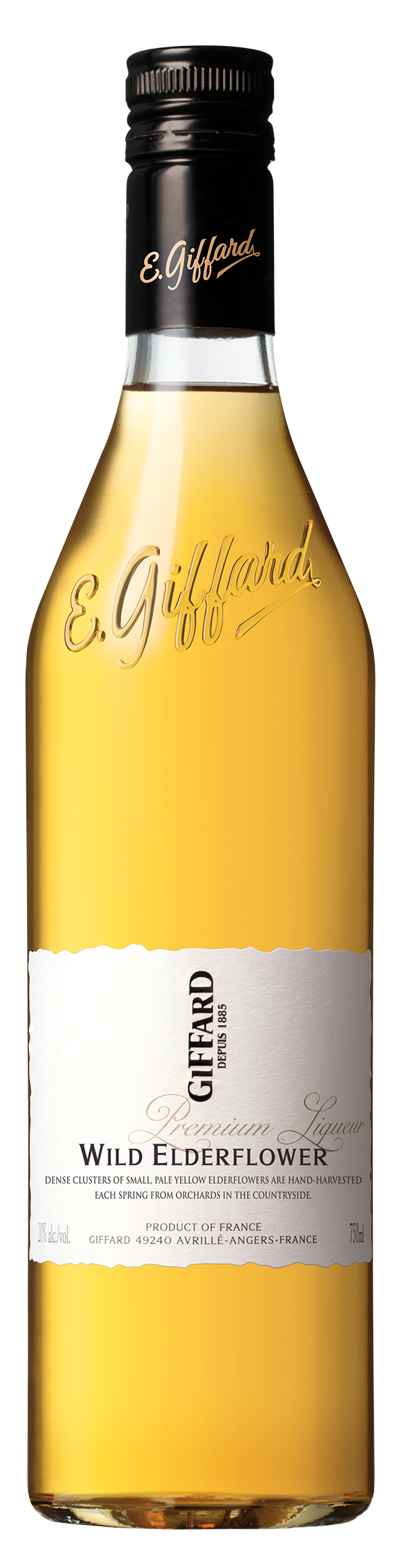 Giffard Wild Elderflower - Back Bar Project