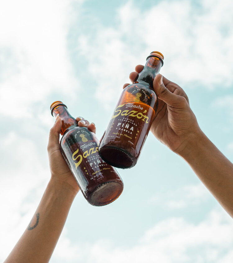 Tepache Sazón - Pineapple Drink (Piña y Canela) Imported by Back Bar ...